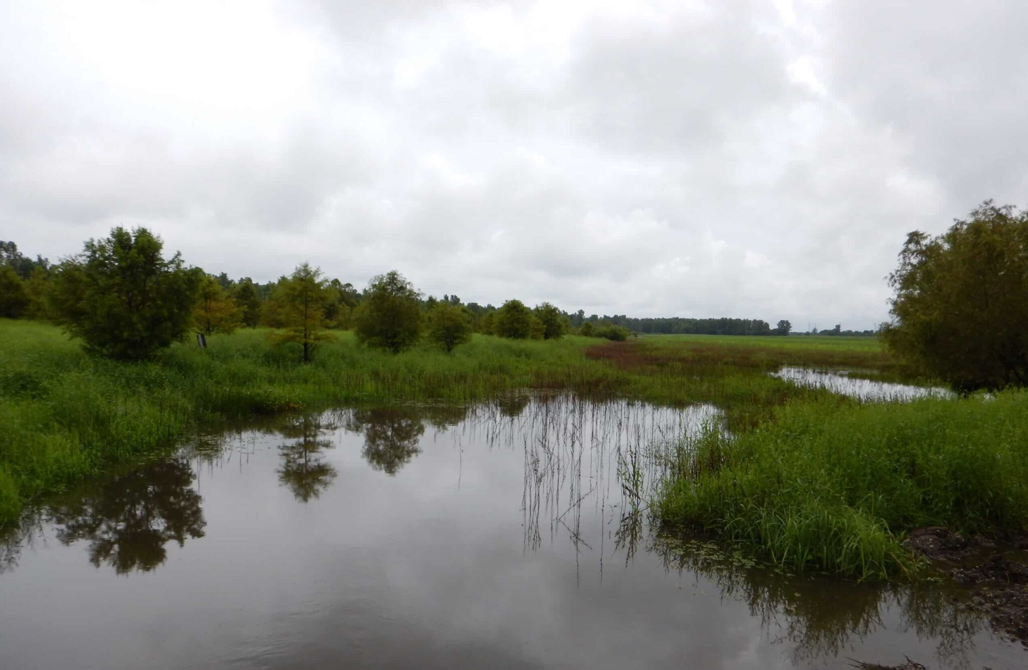 2014 | Big Muddy Wetlands - Fishers & Farmers Partnership