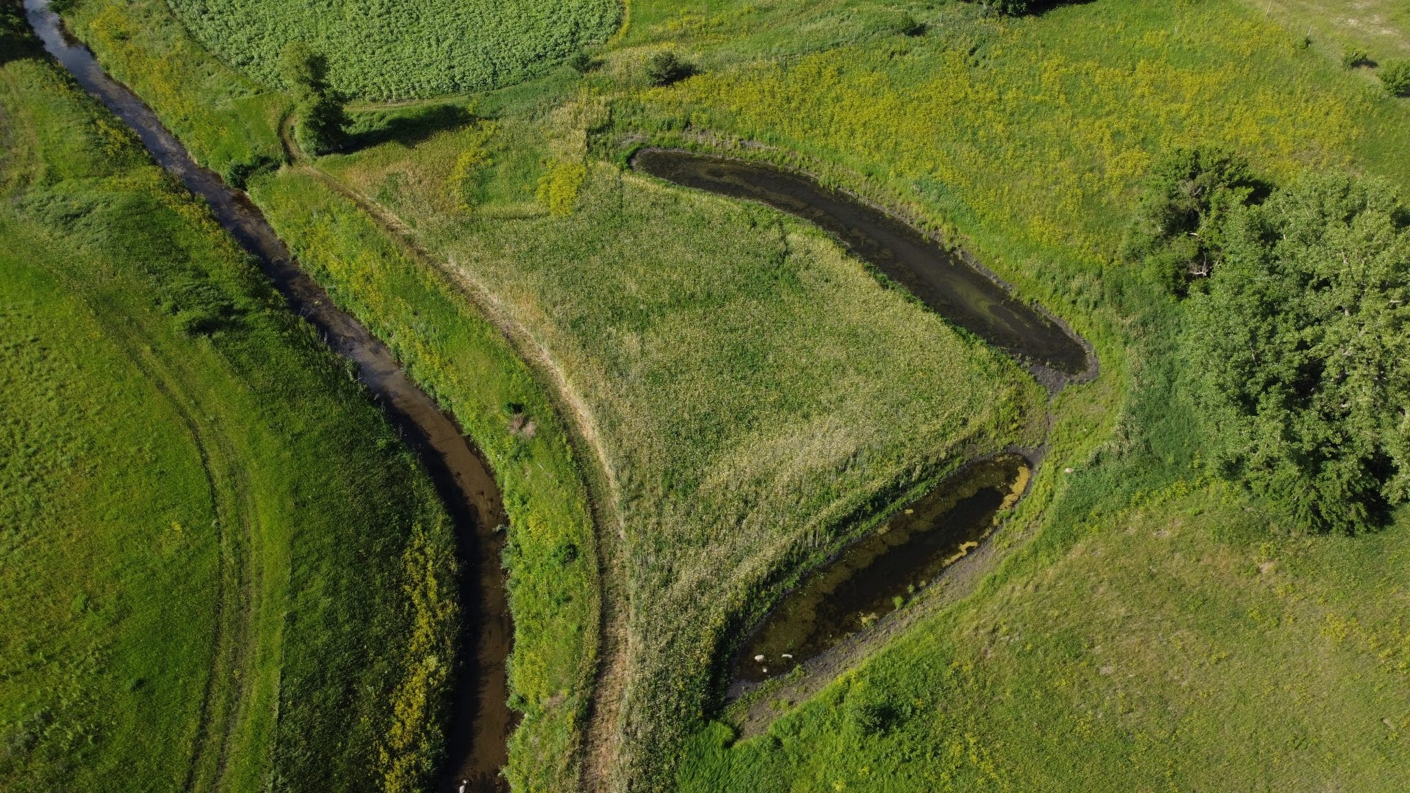 Boone River Watershed Project - Fishers & Farmers Partnership